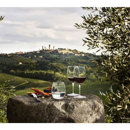 Shop Luigi Bormioli Aero Vandglas her | 6 stk